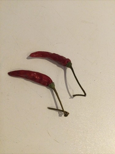5 Dwarf Chilli Pepper Seeds - Demon Red Very Hot - Grow On Windowsill ...