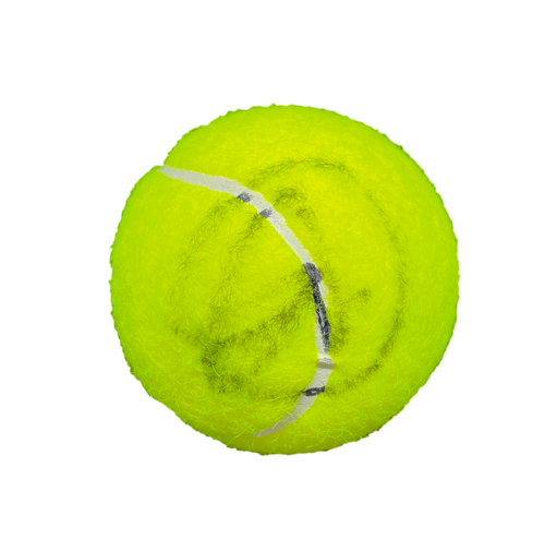 Novak Djokovic Signed Autograph Wimbledon Tennis Ball - Champion w/ JSA ...