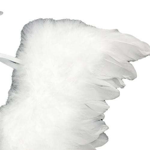 Newborn Baby Photography Props Angel Feather Wing Headband Set Feat ...