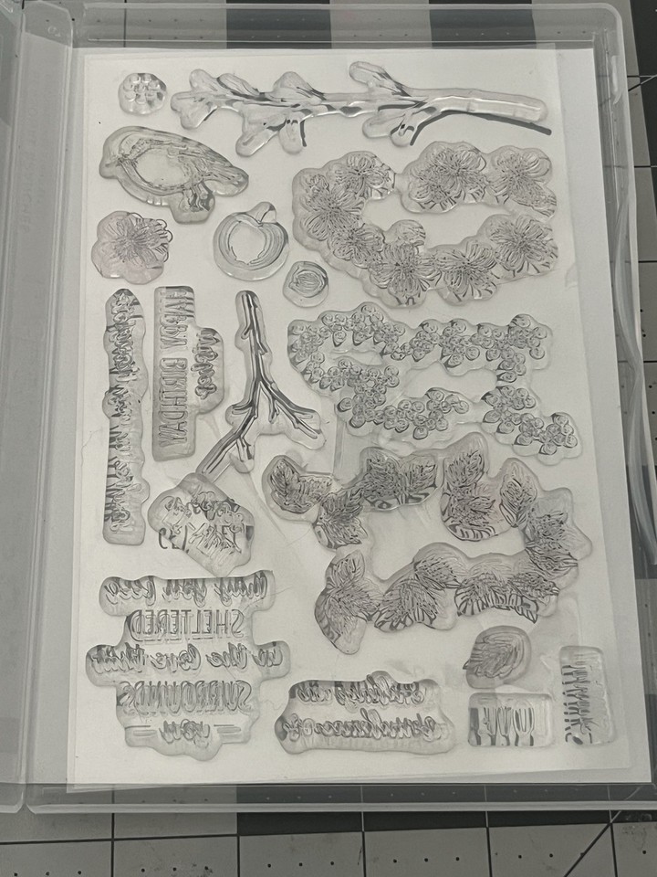 Stampin Up! SEASONAL BRANCHES Stamps &Dies ~Spring Floral Leaves Tree ...
