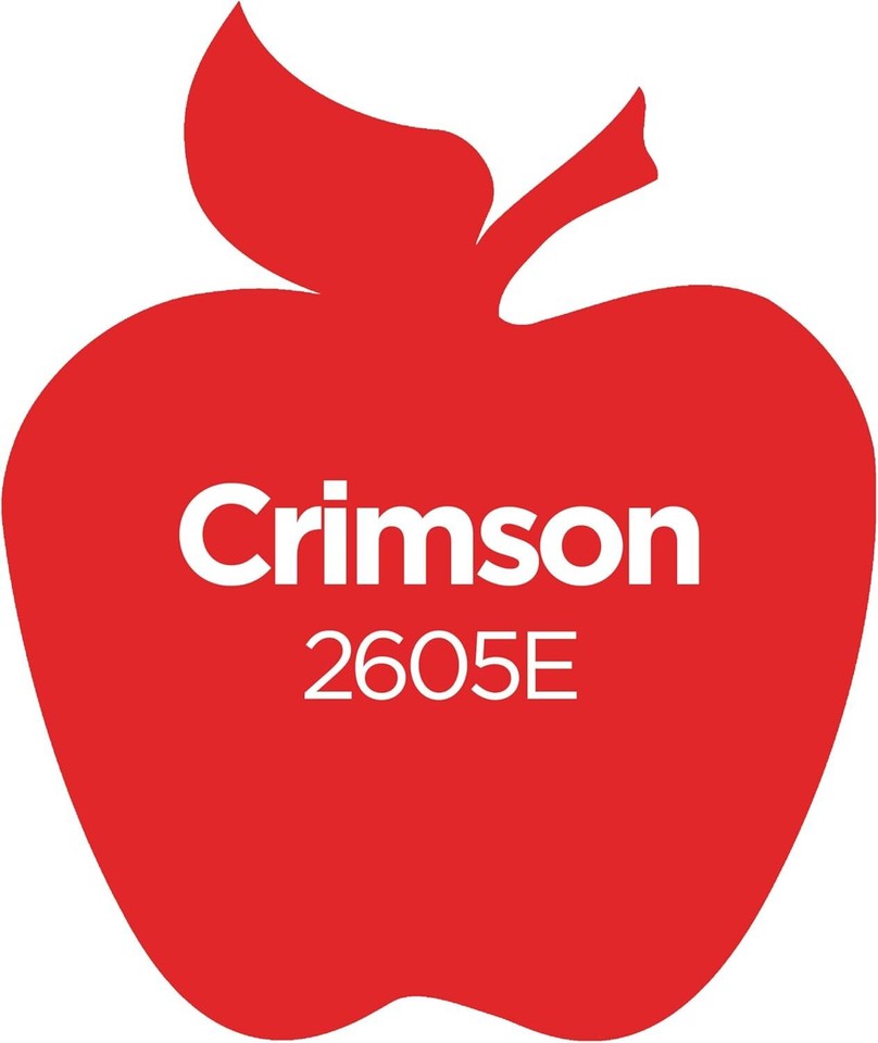 Apple Barrel Acrylic Paint in Assorted Colors (8 oz), K2605 Crimson | eBay