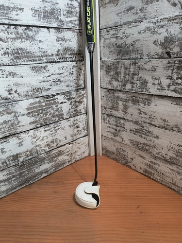 Spoiler Golf Putter 35 inches and Flat cat grip | eBay