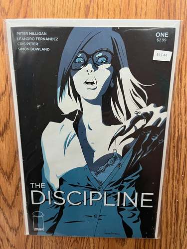 The Discipline 1 Image Comics 8.5 - E45-44 | eBay