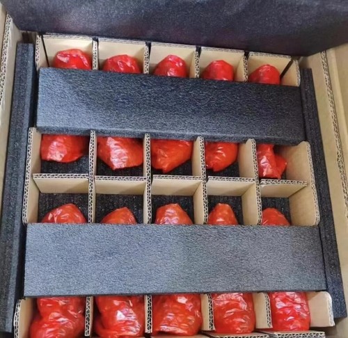 NVIDIA Tesla A10 24GB PCIE Graphics Card Professional Deep Learning GPU ...