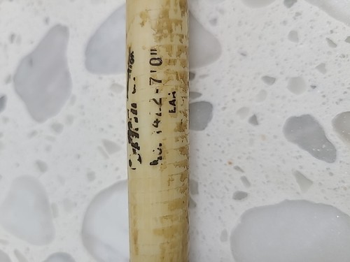 Shakespeare Wonder Rod Spinning 7' | eBay