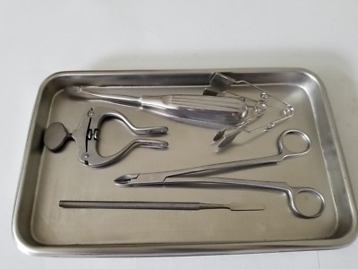 Rabbit Rodent Small Animal Teeth Dentistry Dental Kit Set Veterinary ...