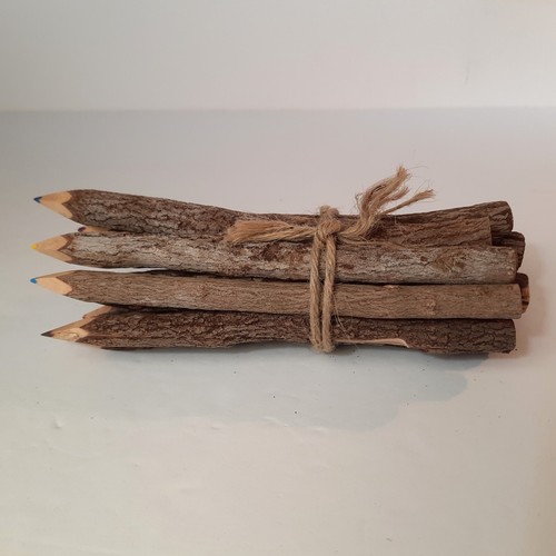 12 Stick Twig Colored Wooden Pencils Outdoor Tree Bark Camping ...
