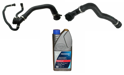 UPPER & LOWER Radiator Water Hose Kit +1 Coolant for BMW 2000-2003 x5 4 ...