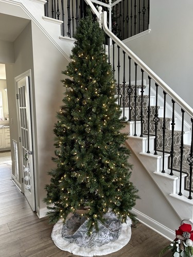 Holiday Living Pre-Lit 9ft Robinson Fir Christmas Tree | eBay