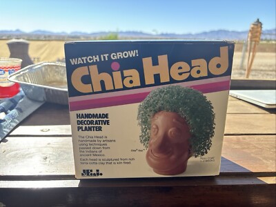 Vintage Chia Head Chia Guy Watch It Grow Handmade Decorative Planter ...