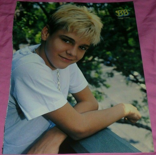 Aaron Carter Nikki DeLoach Innosense Girlgroup Teen Magazin Pin Up ...