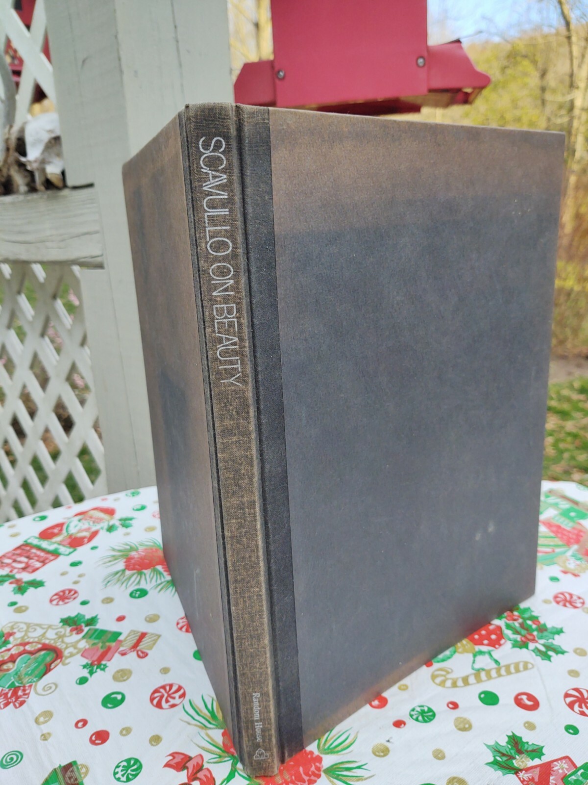 Vintage 1976 SCAVULLO ON BEAUTY HARD COVERED BOOK | eBay