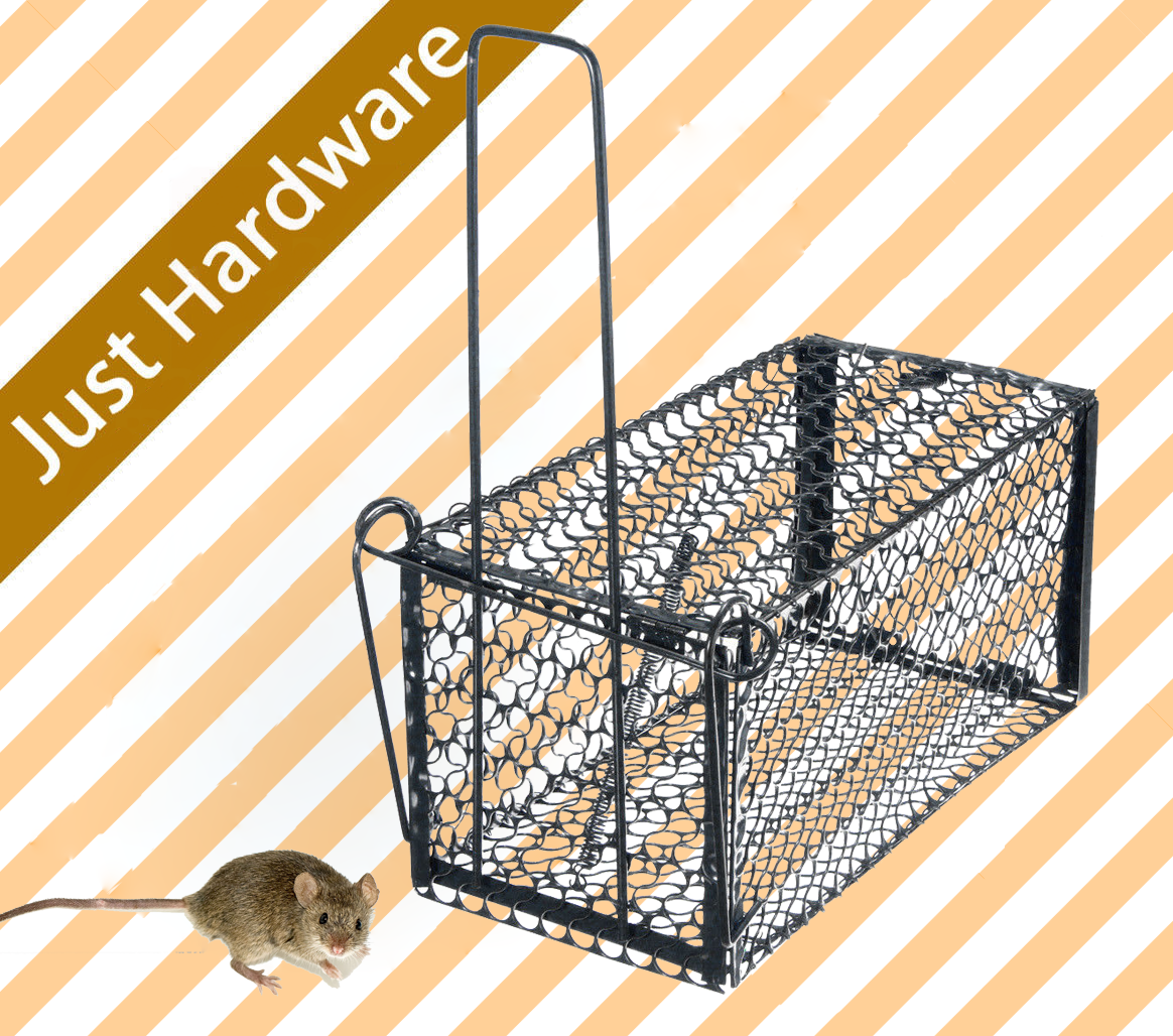 Rat Mouse Mice trap Catch Bait Hamster Cage Catcher New AU | eBay Australia