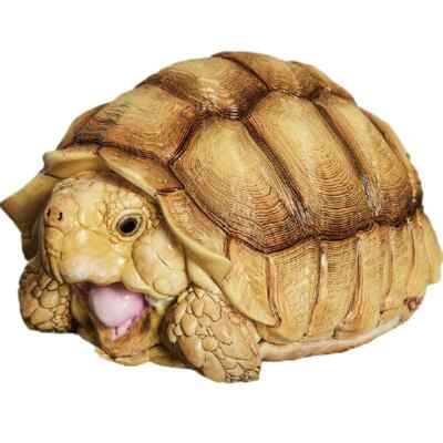 Animal Planet Laugh and Grow Fat Tortoise Blind Box Collector Turtle ...