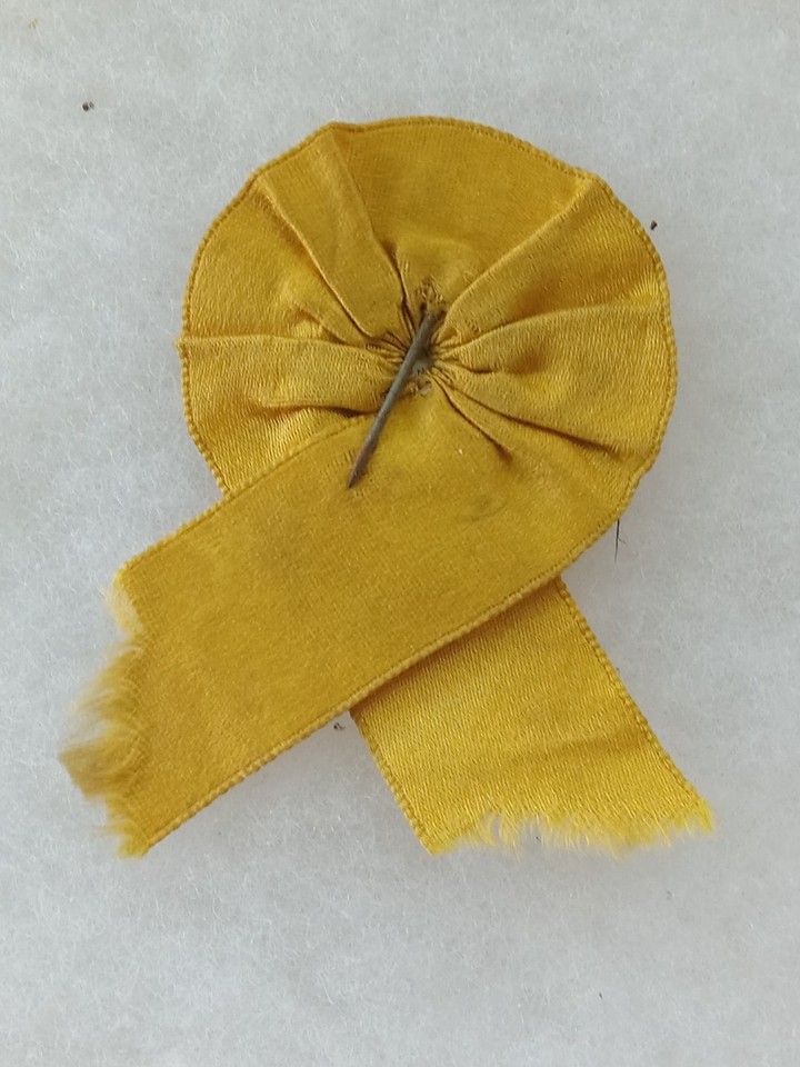 1899 WRC WOMANS RELIEF CORPS STAFF GAR GRAND ARMY PHILADELPHIA PA ...