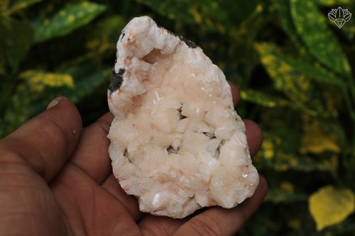 124 gm Apophyllite Specimen Pink Matrix Minerals STUNNING Stilbite ...
