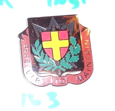 CREST,DI, 163RD MEDICAL BATTALION | eBay