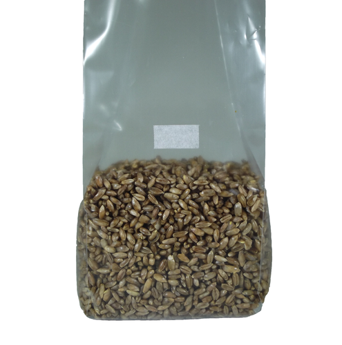 Sterilized Rye Berry Mushroom Substrate (Two Individual One Pound Bags ...