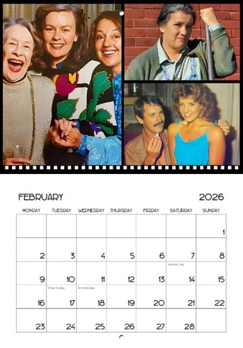 3 x Prisoner Cell Block H 2026 Calendar Bundle - Final Sale! | eBay UK