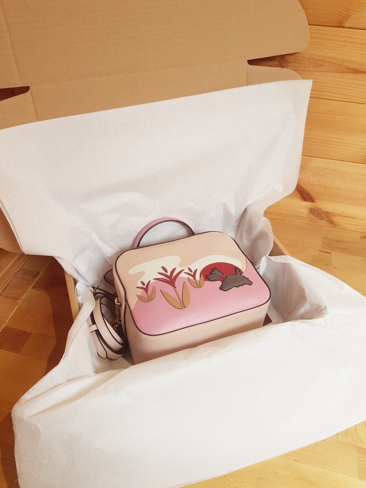 Radley Spring Street Pink Leather Picture Bag Crossbody Multiway New ...