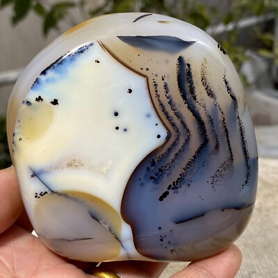 434g Dendritic Chalcedony Banded Agate Crystal Specimen Natural ...