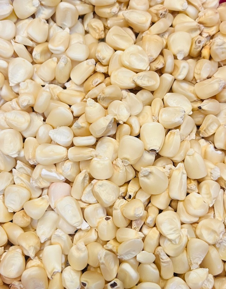 Guinea Corn (Dawa/Okababa), Soya Beans, Millet (Joro), Yellow Corn ...