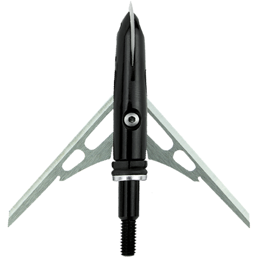 Rage Extreme 2-blade Broadhead 125-Grain - 3-Pack, 53300 for sale ...