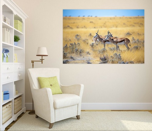3D Springbok Prairie G2945 Animal Wall Stickers Wallpaper Mural Wall ...