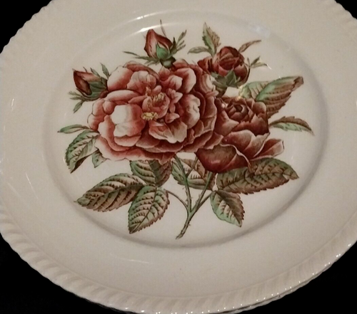 Old Flower Prints 1 ea. Johnson Brothers England 10" Dinner Plate W ...