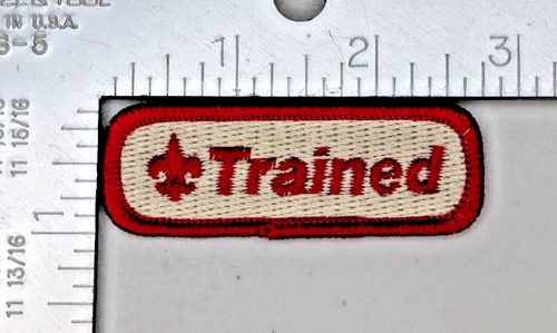 BSA Trained Patch Boy Scouts Red and Tan | eBay