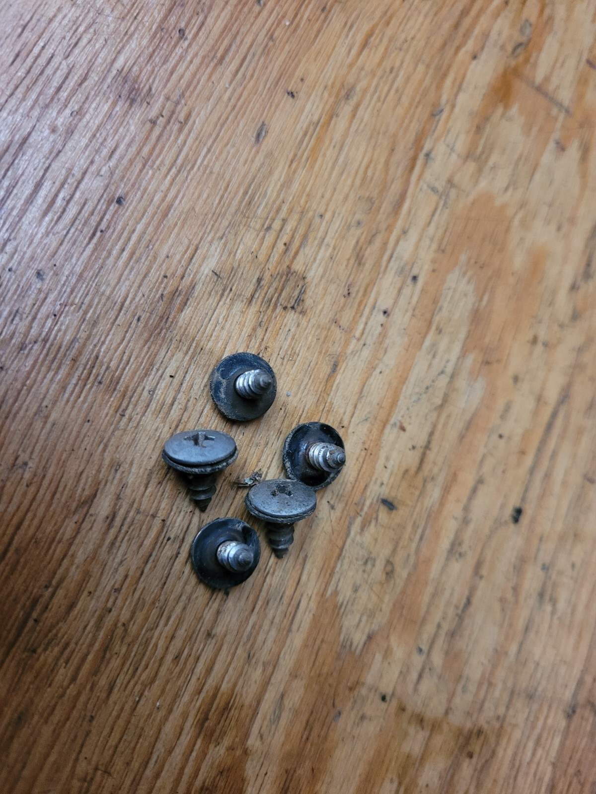 Toyota Supra MK3 1986.5-92 Cowl Panel Mounting Screws Set of 5 OEM | eBay