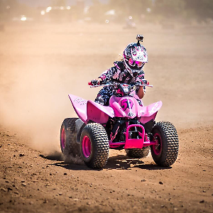 Sled and Quad Factory Parts | eBay Stores