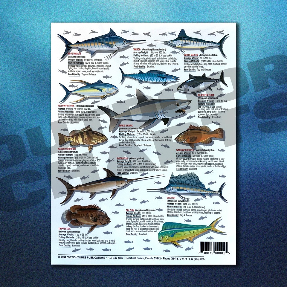 How to Catch 'Em Saltwater Fish Identification #1 - Waterproof Quick ...