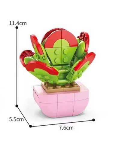 Florist Building blocks - Mini Succulent Kalanchoe Tetraphylla - 117 ...