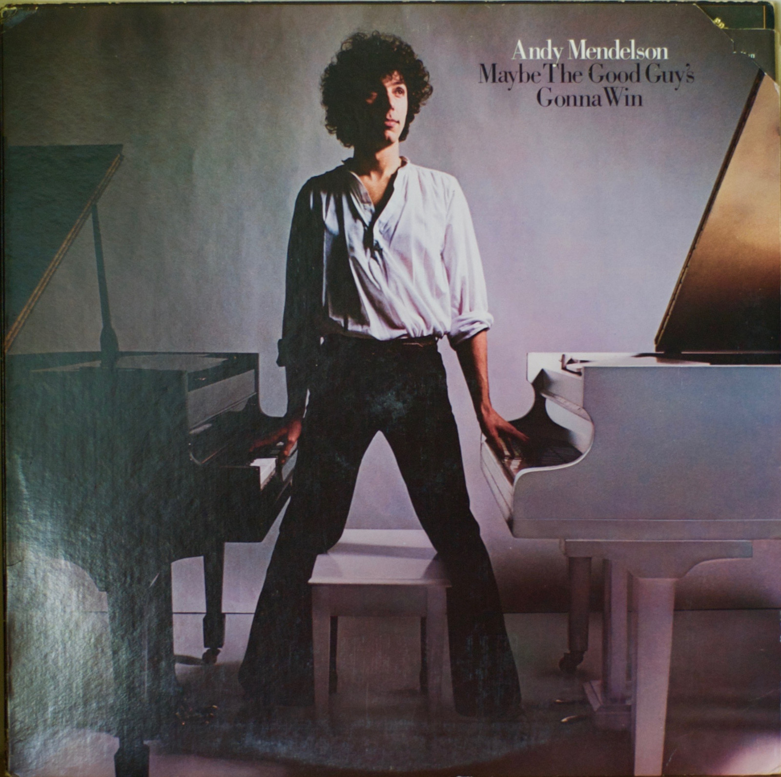 ANDY MENDELSON: Maybe the Good Guy's Gonna Win-M1978LP PROMO ERNIE ...