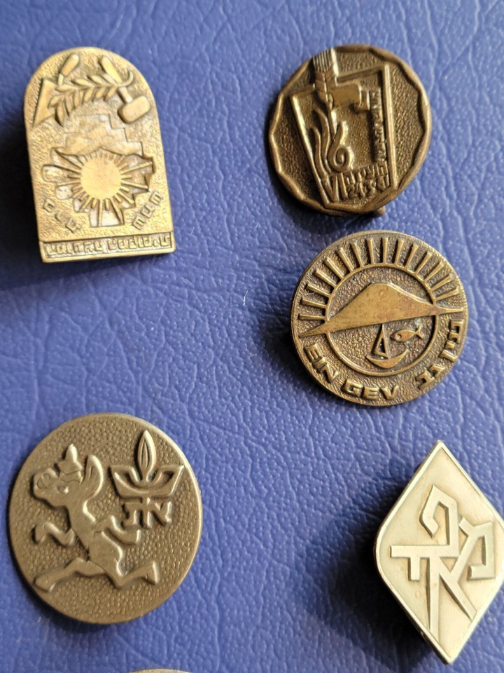 LARGE LOT OF RARE VINTAGE ISRAELI ZIONIST HEBREW PINS BADGES | eBay