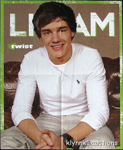 Liam Payne One Direction 2 POSTERS Centerfolds Lot 2583A Justin Bieber ...