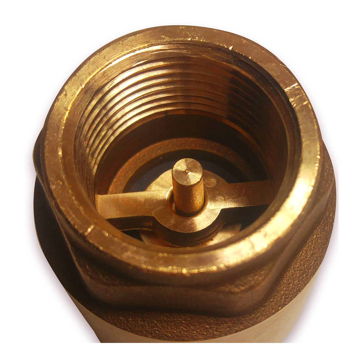 Spring Check Valve 1-1/2" Lead Free Brass Spring IPS Thread Check Valve ...