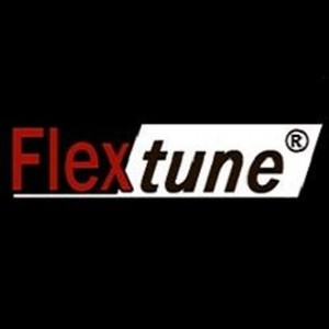 Flextune Inc | eBay.de Shops