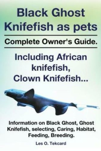 Black Ghost Knifefish As Pets, Incuding African Knifefish, Clown ...