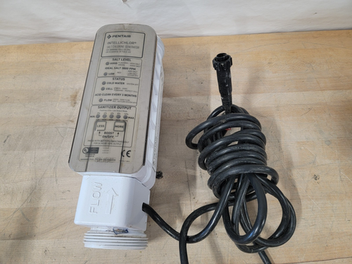 Pentair IntelliChlor IC40 Salt Chlorine Generator Cell - Untested | eBay