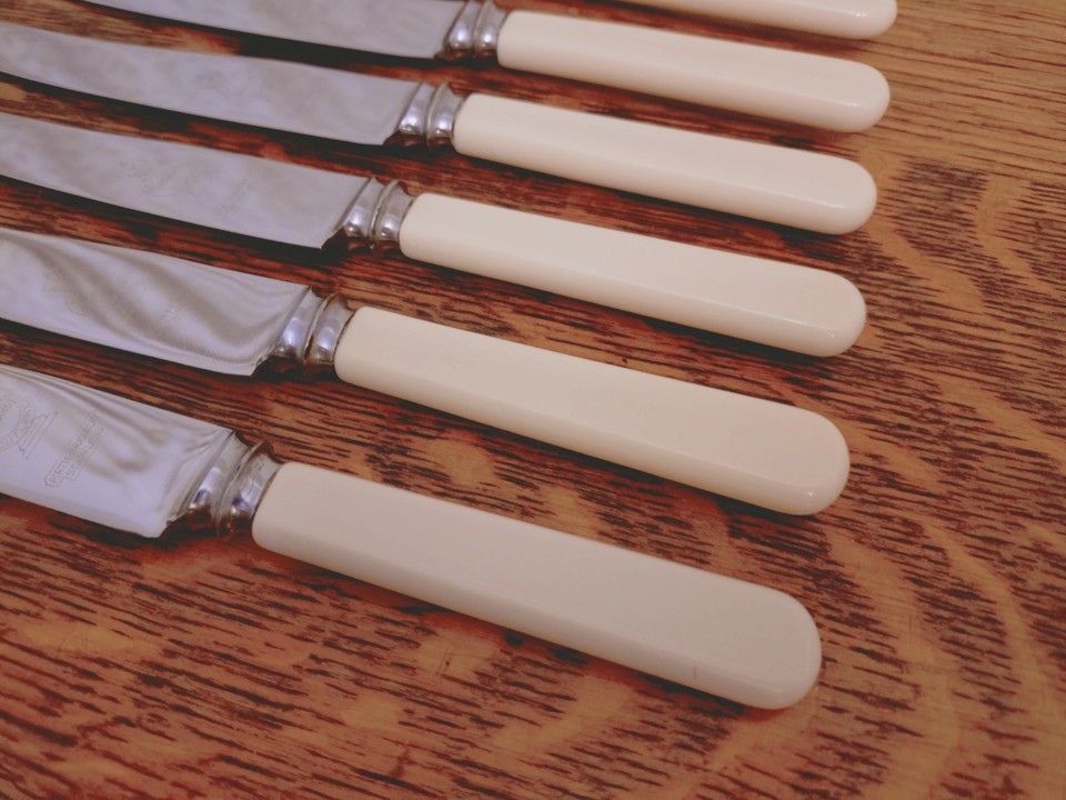 Superb Vintage Set 6 x Faux Bone Handle DESSERT CUTLERY - Made in ...