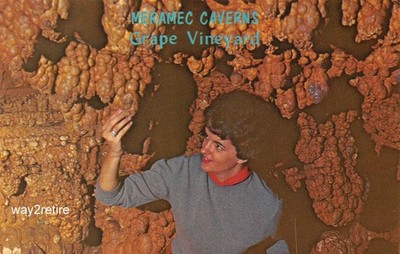Postcard MO Stanton Meramec Caverns Grape Vineyard Route 66 Missouri ...