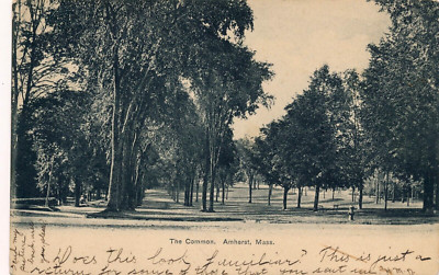 THE COMMON, AMHERST, MASS. MA. PARK-LIKE SETTING. BENCHES. WOMAN ...