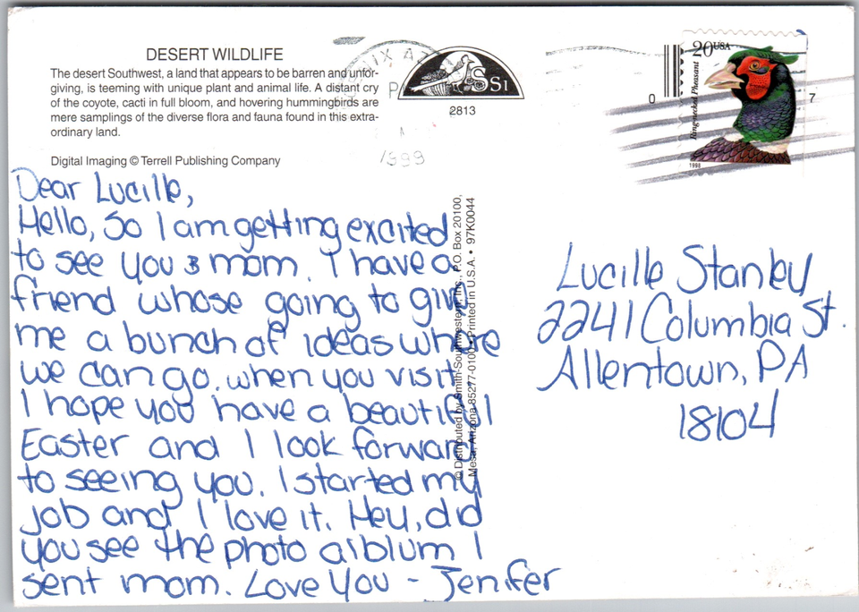 Southwest Desert Widlife Animals Wolf Birds Rabbit Sonoran Mohave USA ...