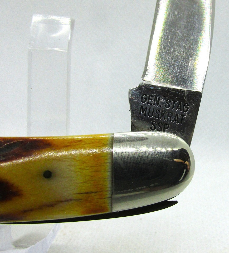 1978 Case XX MUSKRAT, 2 Dot, GEN. STAG HANDLES, SS BLADES, Pocket Knife ...