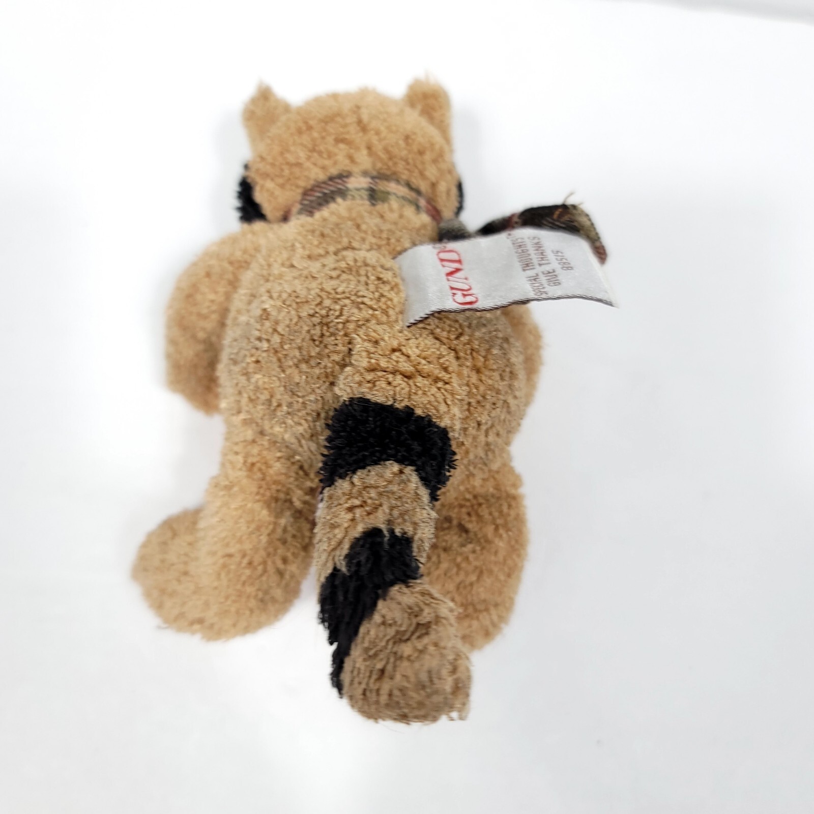 Give Thanks Thanksgiving Raccoon Holding Pumpkin Gund Plush Stuffed ...