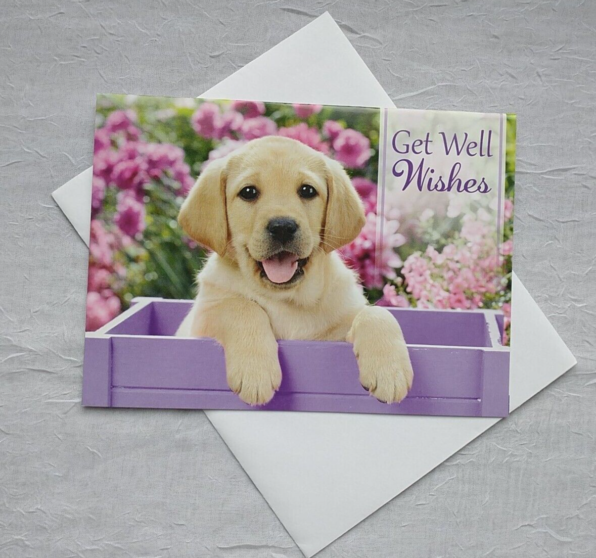 Golden Lab Birthday Cards Black Lab Dog Birthday Card Hope Your