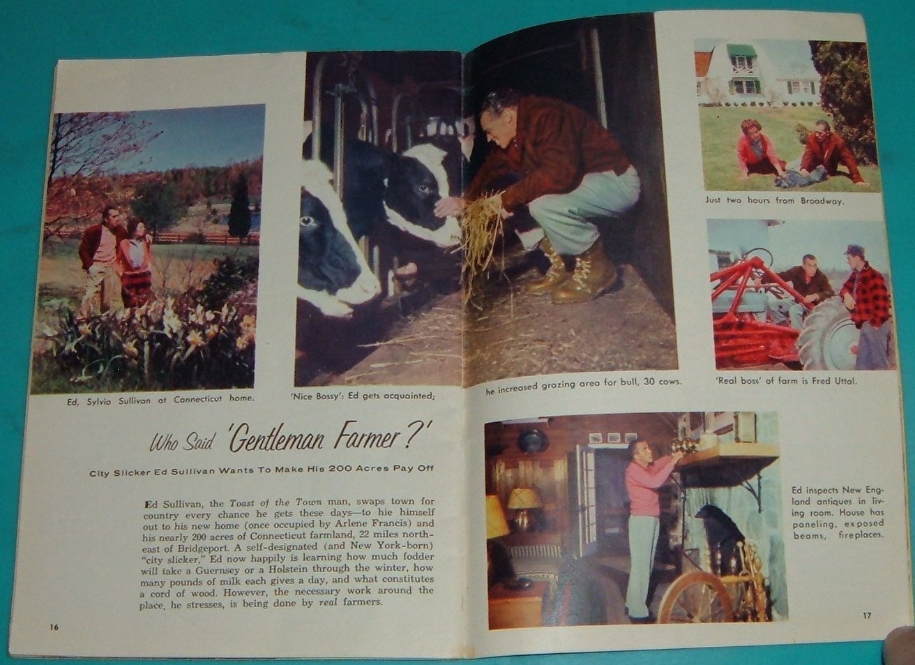 1955 TV ARTICLE~ED SULLIVAN CONNECTICUT HOME WIFE SYLVIA~Fred Uttal ...