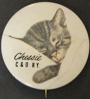 Vintage CHESSIE cat celluloid Pinback with Backpaper - Chesapeake ...